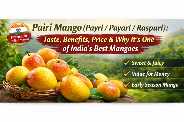 Pairi Mango (Payri / Payari): Benefits, Price & Season in India ...